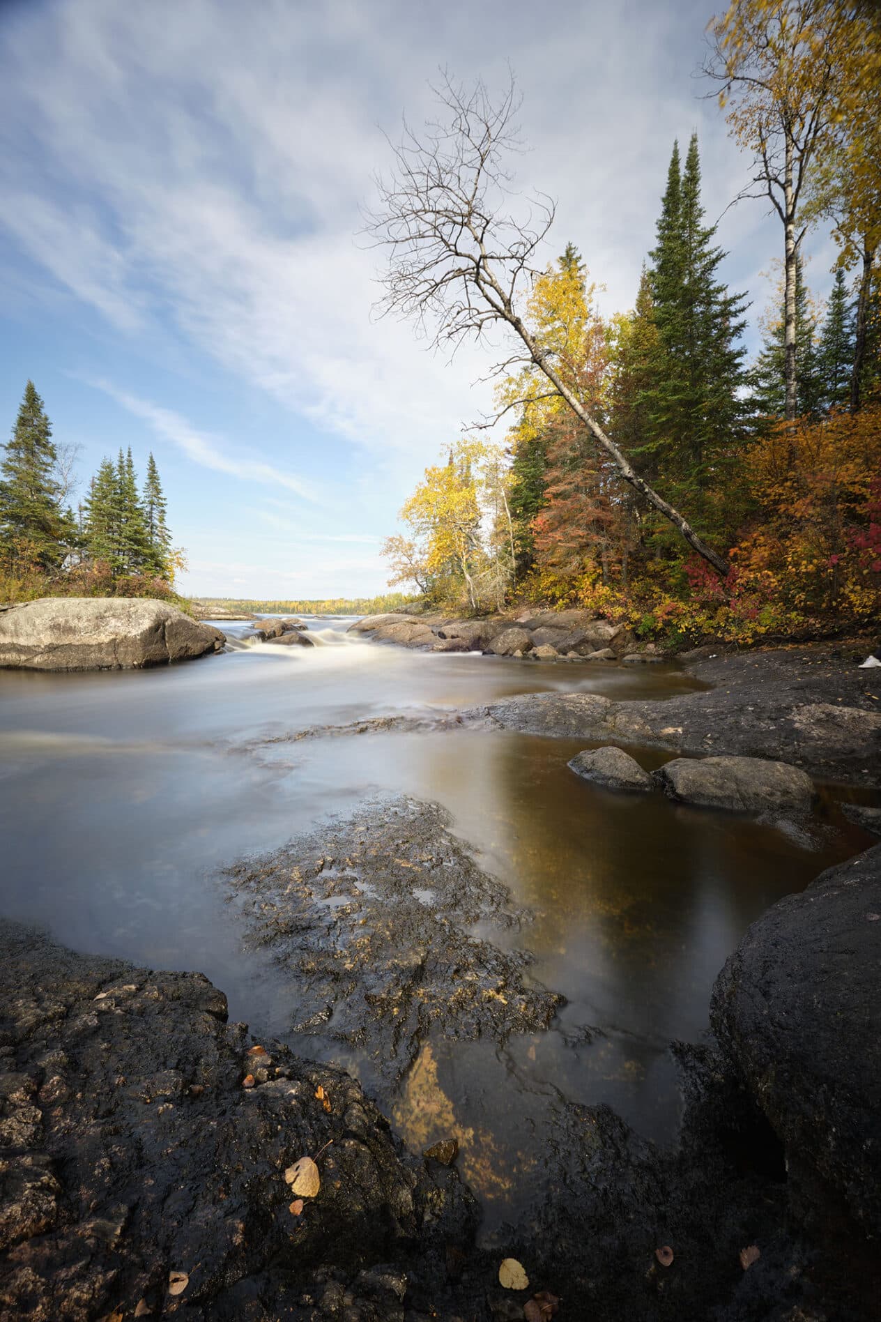 Announcing the 2022 CPAWS Fall Photo Contest Winners - CPAWS Manitoba