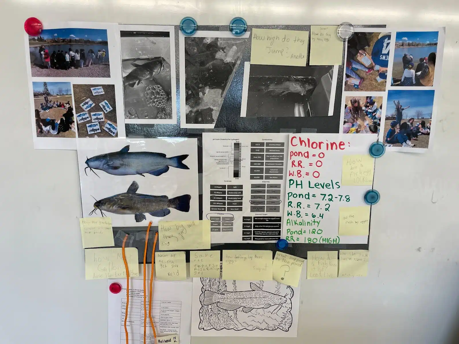 Catfish, and Climate Change: Conservation in the Classroom - CPAWS Manitoba