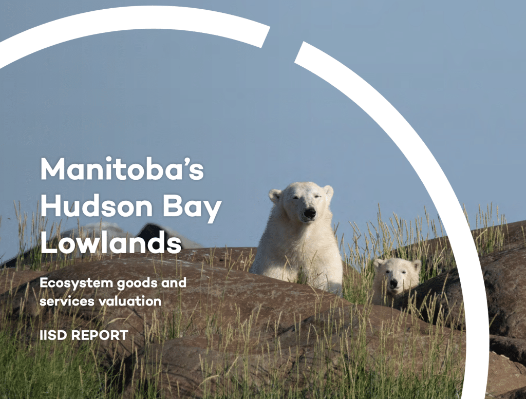 Hudson Bay Lowlands bring nearly $250 million to Manitoba economy and ...