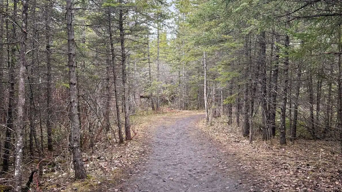 Cedar Bog Trail - CPAWS Manitoba