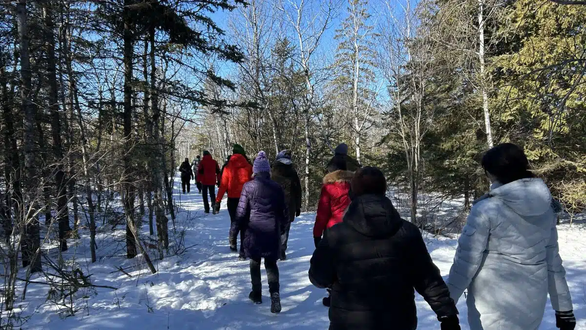 Cedar Bog Trail - CPAWS Manitoba